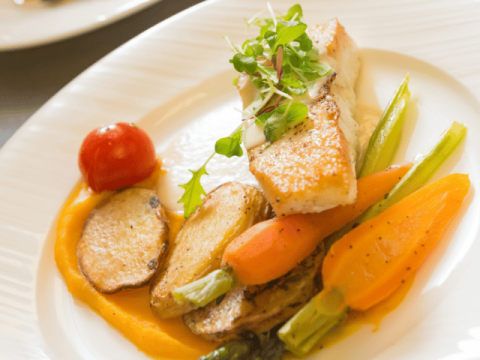 Stewed Halibut with Egg and Lemon Sauce | Kosher River Cruise